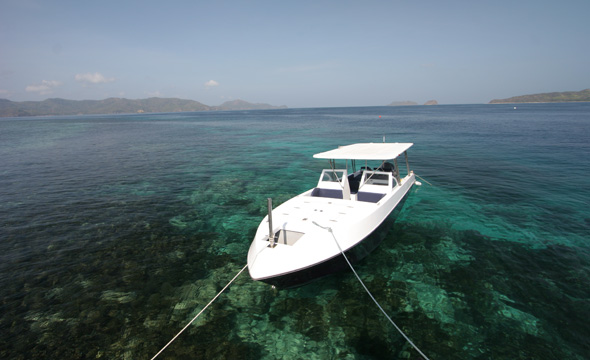 Best Private Islands for Rent in the Philippines | The Luxe Guide