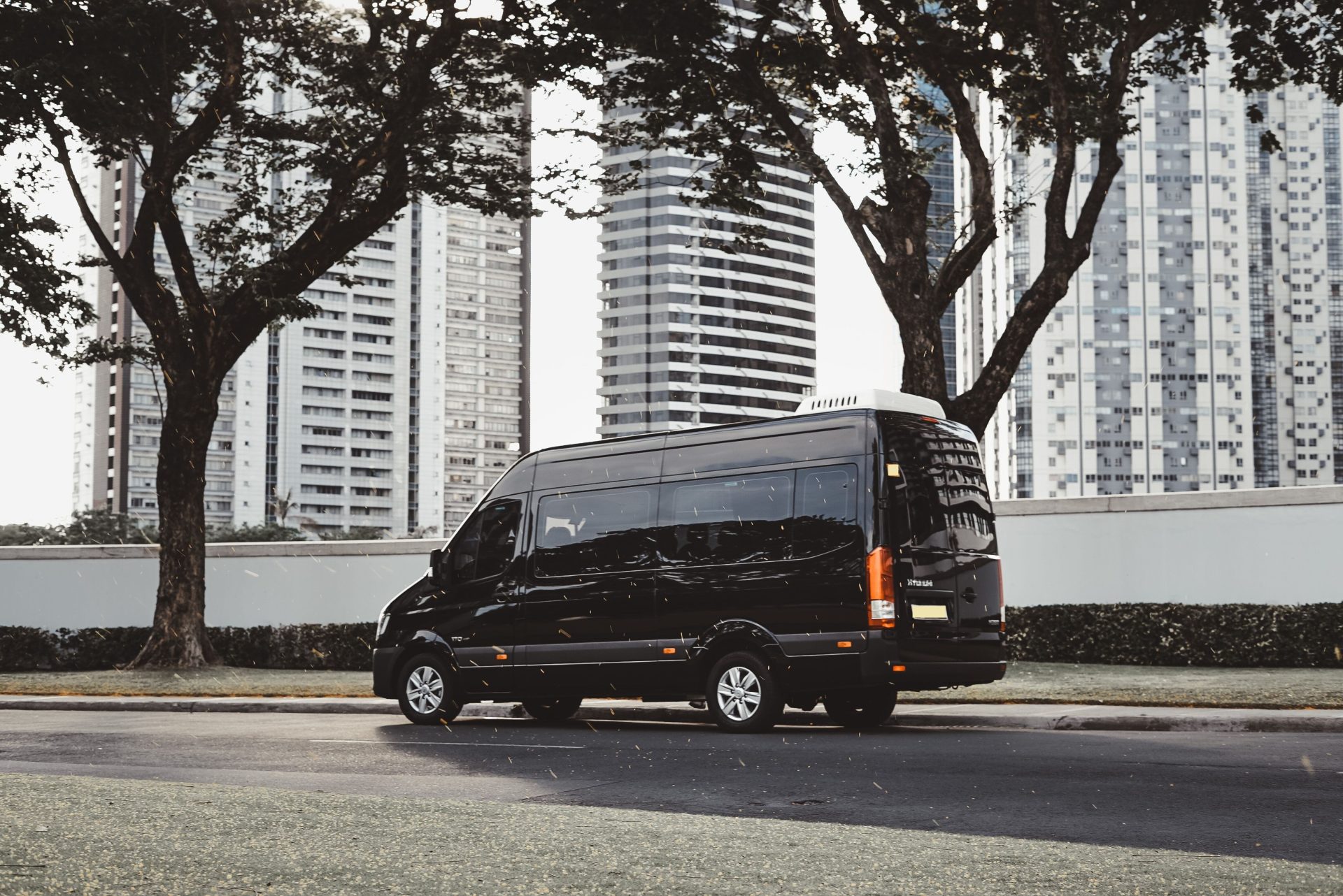 Hyundai H350 Artista - The Luxe Guide