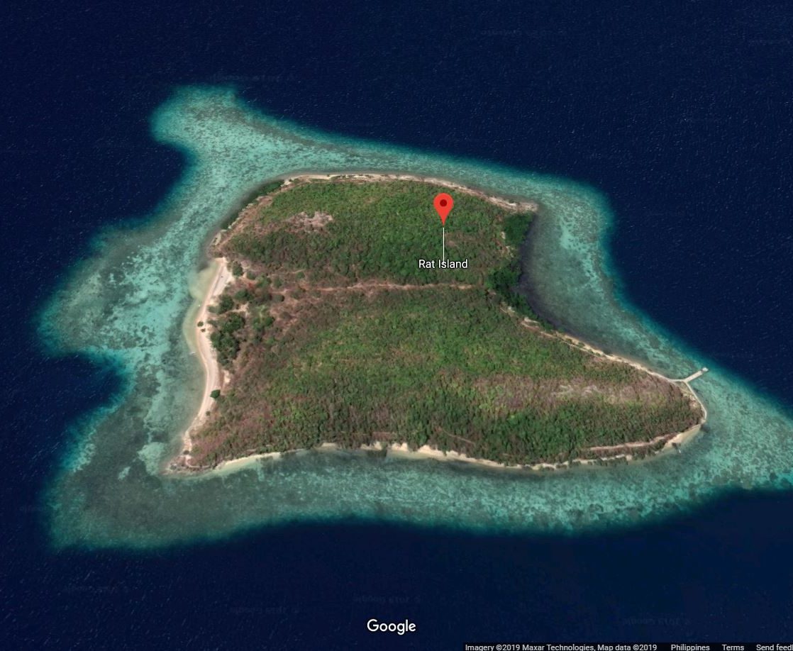 Rat Island for Sale Busuanga - The Luxe Guide